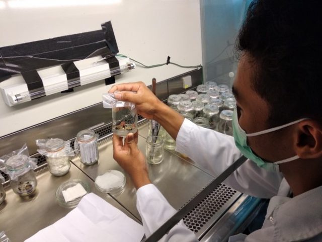 Laboratorium Bioteknologi | Fakultas Pertanian