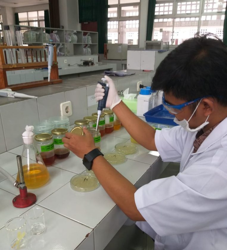 Laboratorium Mikrobiologi Hasil Pertanian | Fakultas Pertanian